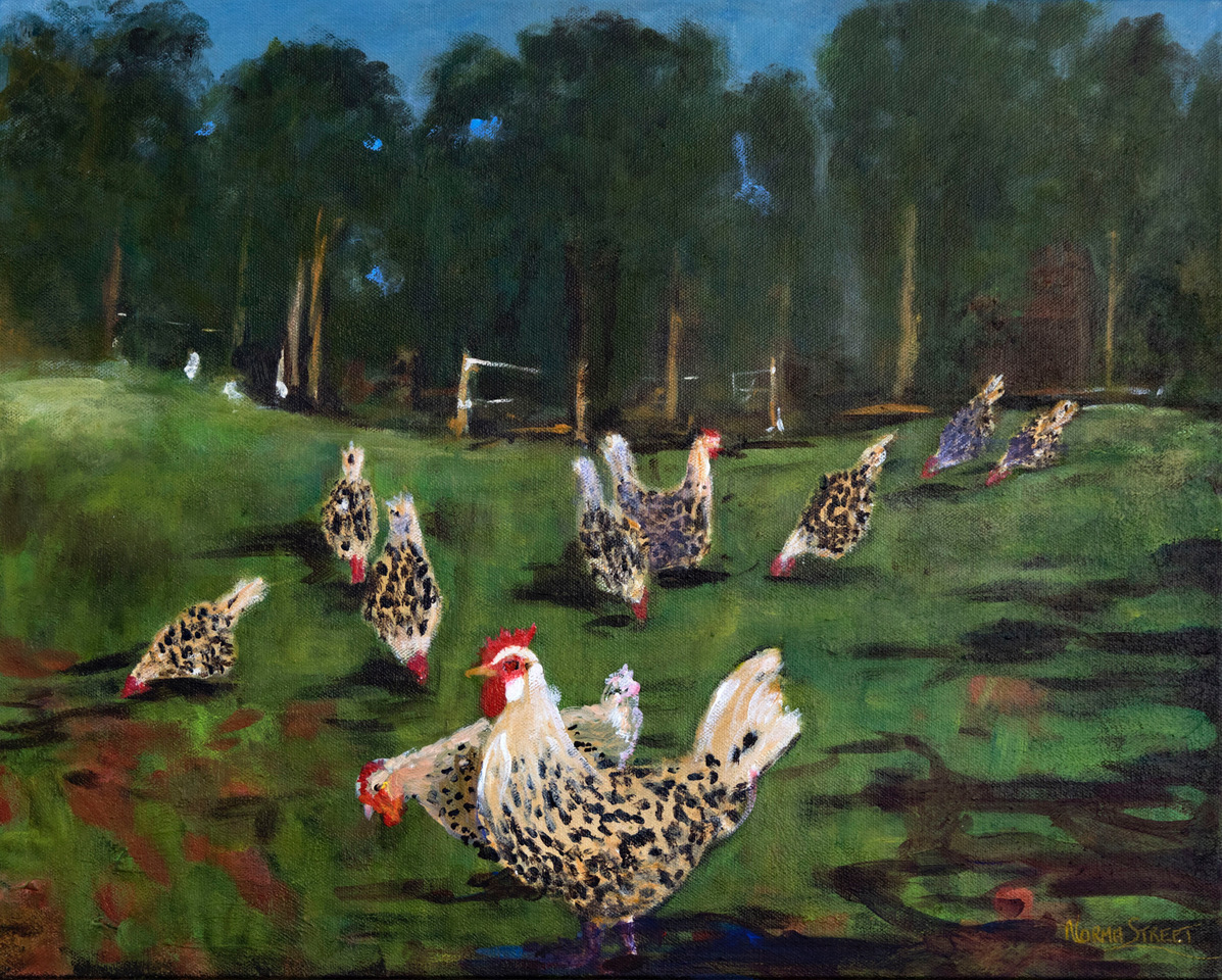 Norma Street – A HENS DAY OUT – Kilcoy Art Society